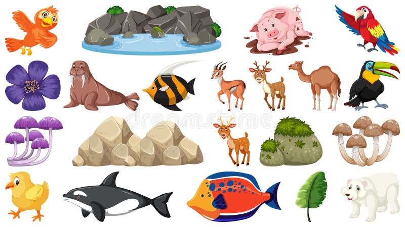 Set of Animals and Nature Objects Stock Vector - Illustration of orca ...