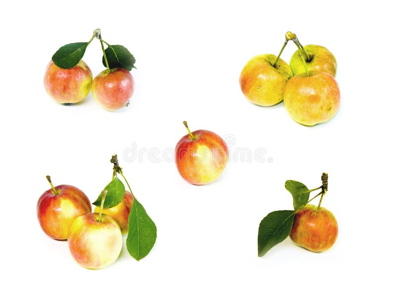 Set of apple stock photo. Image of fruit, snack, white - 10872460