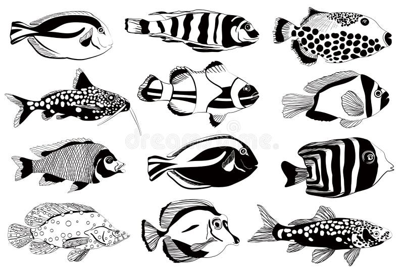 Set of Aquarium Fish. Black and White Design Stock Vector ...
