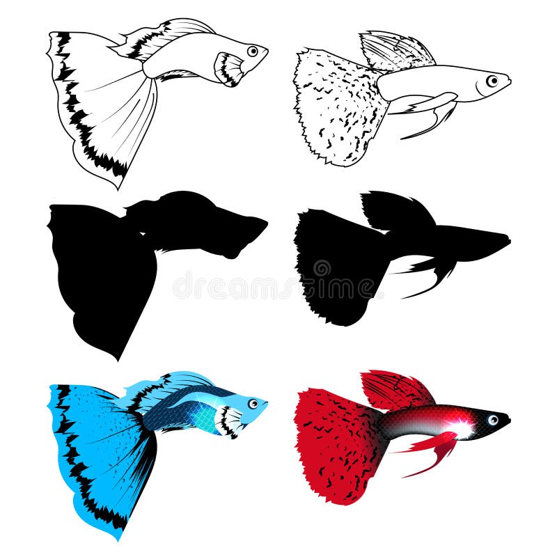 Guppies Vector Stock Illustrations – 77 Guppies Vector Stock ...