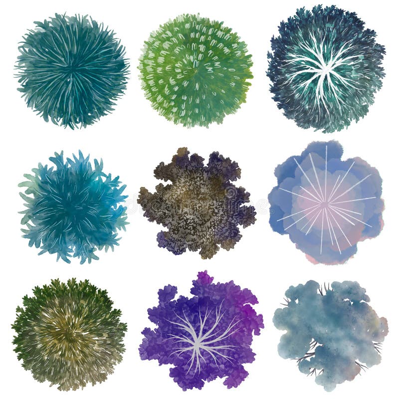 Set of Architectural Plans Trees Isolated on White Background. Bushes ...