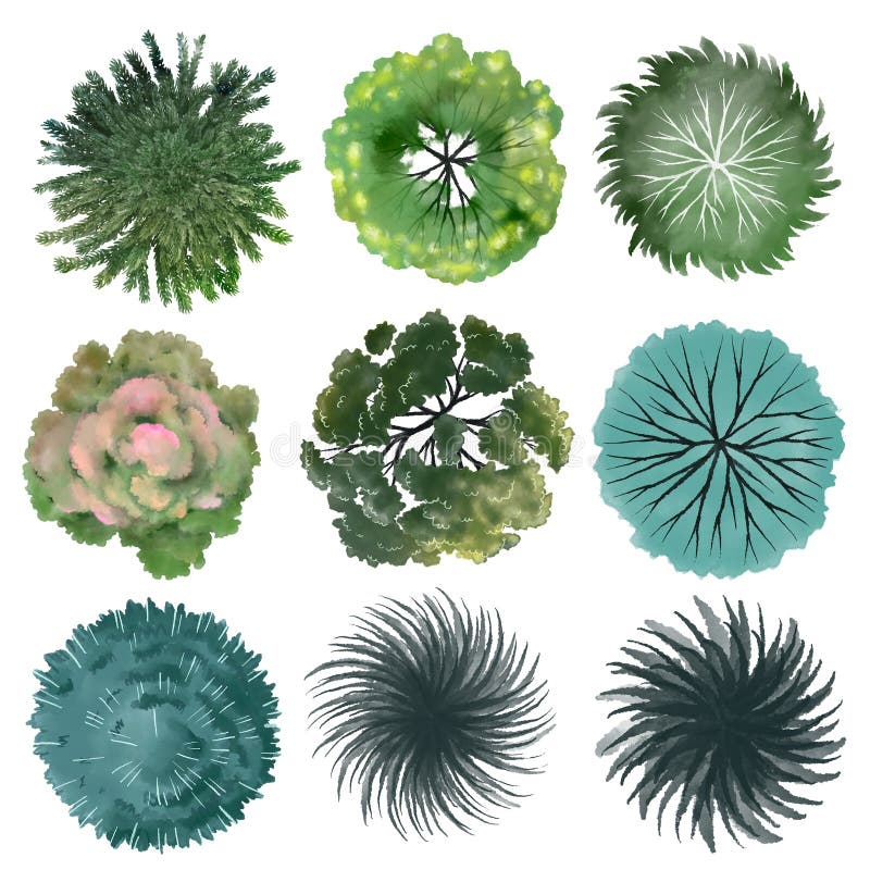 Set of Architectural Plans Trees Isolated on White Background. Bushes ...