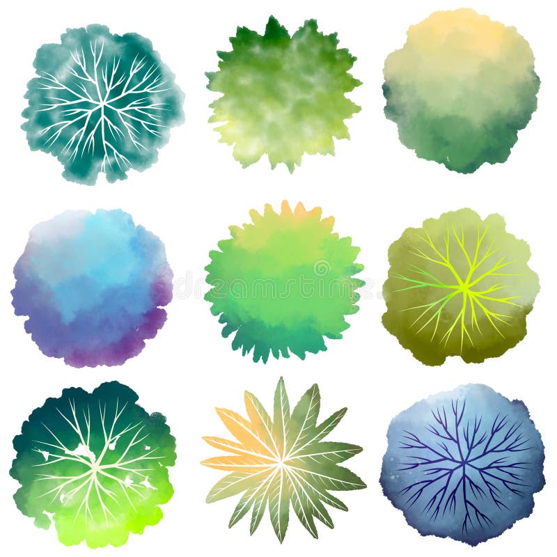 Shrubs Top View Png