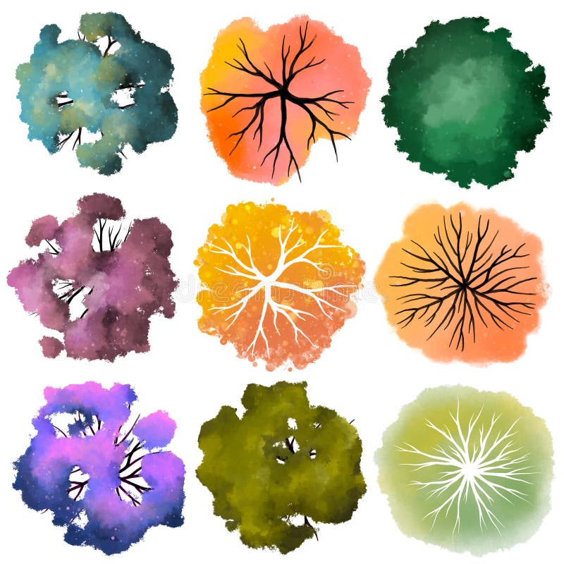 353 Architectural Plant Plan View Stock Photos - Free & Royalty-Free ...