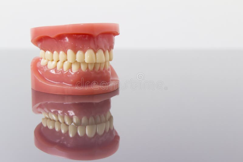 Set of Artificial False Teeth Stock Image - Image of full, tooth: 55862373