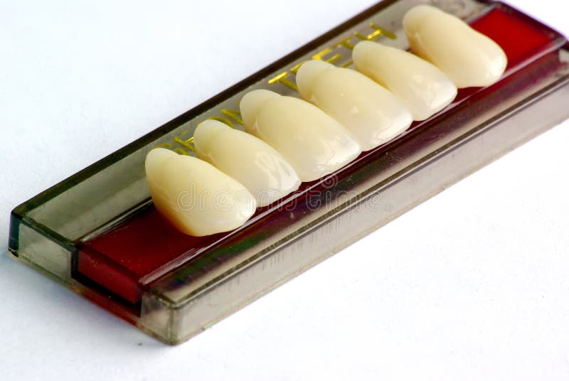 Set of artificial teeth stock photo. Image of easy, split - 5676886