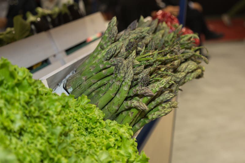 Set of Asparagus and Vegetables in the Display Stand Stock Image ...