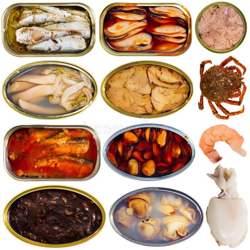 Set of Assorted Fish and Seafood. Stock Photo - Image of dining ...