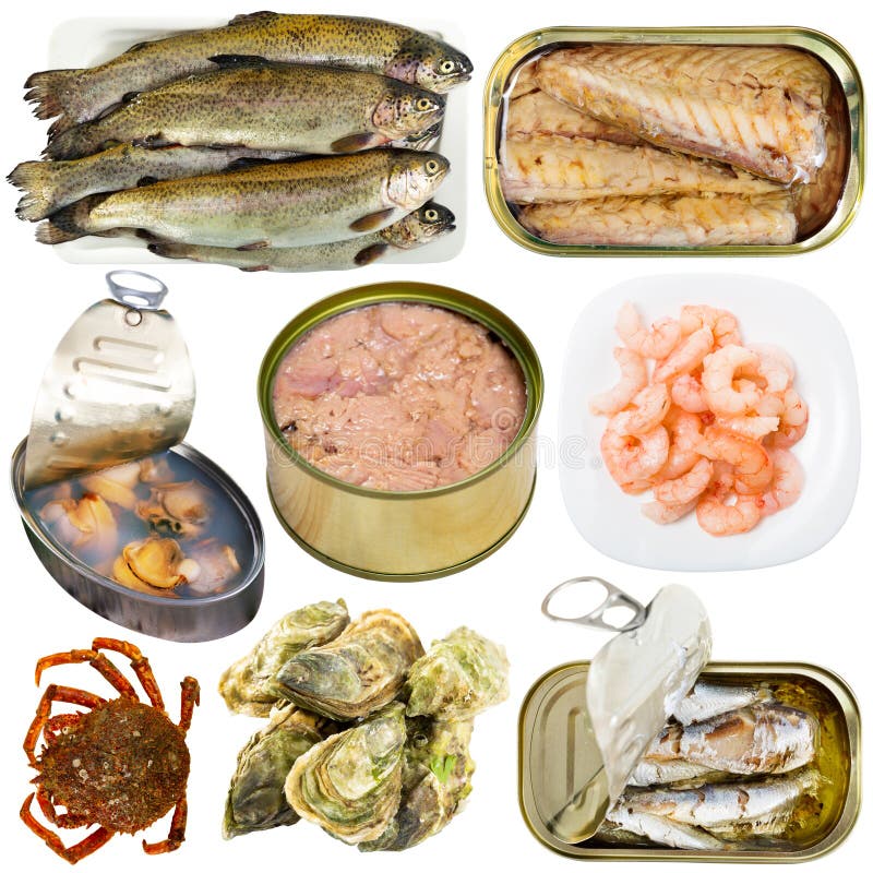 Set of Assorted Raw Fish and Seafoods Stock Photo - Image of grocery ...