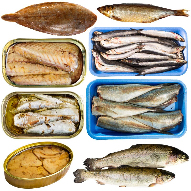 Set of Assorted Raw Fish and Seafoods Stock Photo - Image of ...