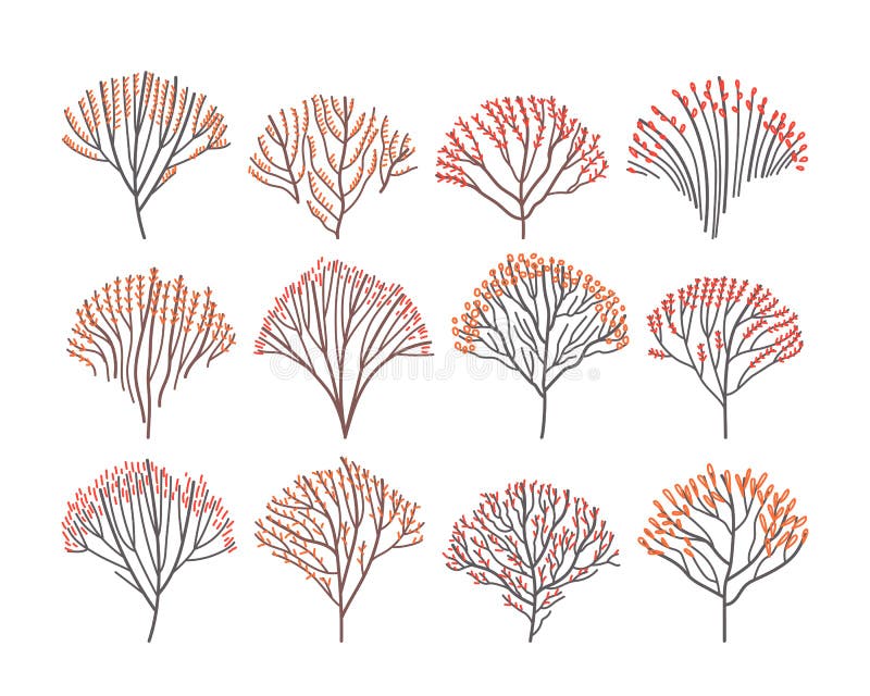Set of Autumn Deciduous Trees in Line Art Style Stock Vector ...
