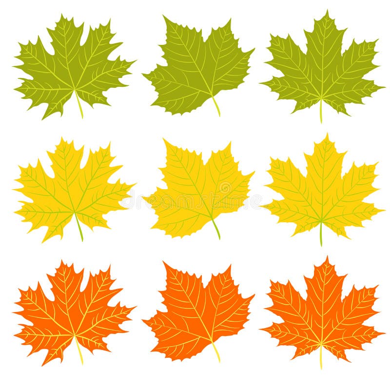Set of Autumn Fallen Leaves Stock Vector - Illustration of october ...