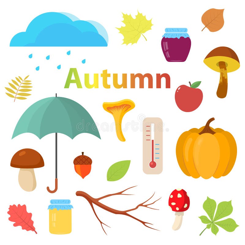 Set Of Autumn Objects For Design Stock Vector Illustration Of