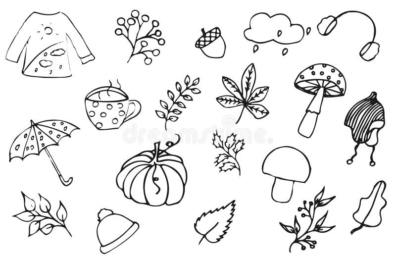 Set of Autumn Objects and Plants in Outlines Stock Vector ...