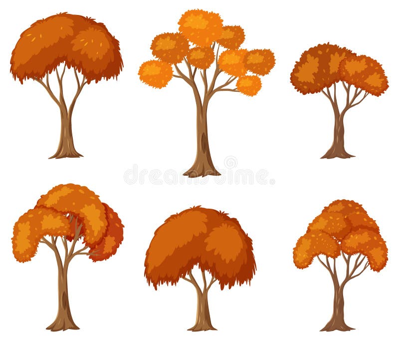Set of autumn tree cartoon stock vector. Illustration of graphic ...