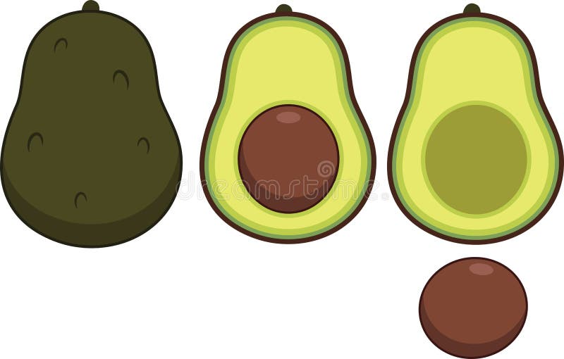 Avocado Featuring Women`s Shape. Figure of a Young Women Isolated on ...