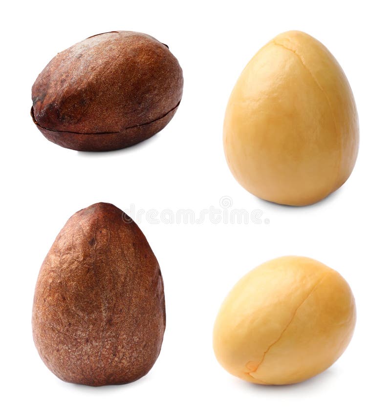 Set of Avocado Seeds on Background Stock Photo - Image of collage ...