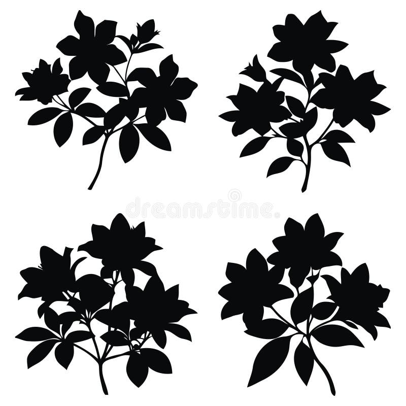 Set Azalea Flower Silhouettes on White Background Stock Vector ...