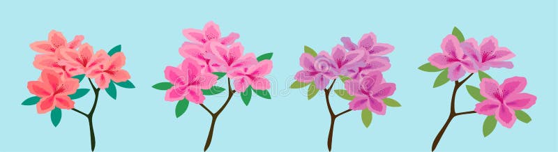 Set of Azalea Flower Cartoon Icon Design Template with Various Models ...