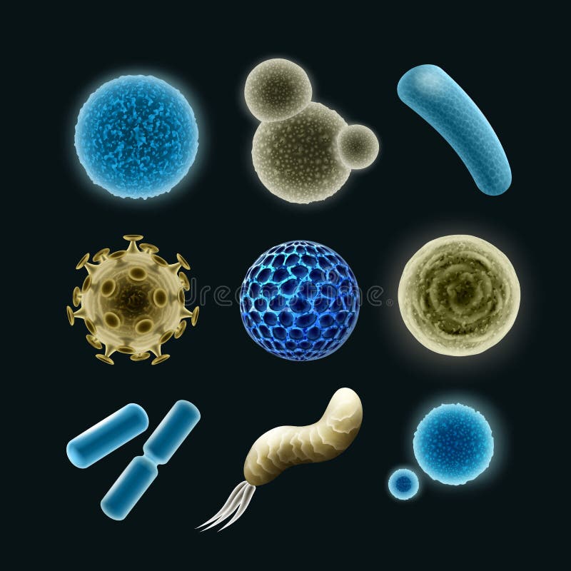 Respiratory Bacteria Stock Illustrations – 30,673 Respiratory Bacteria ...