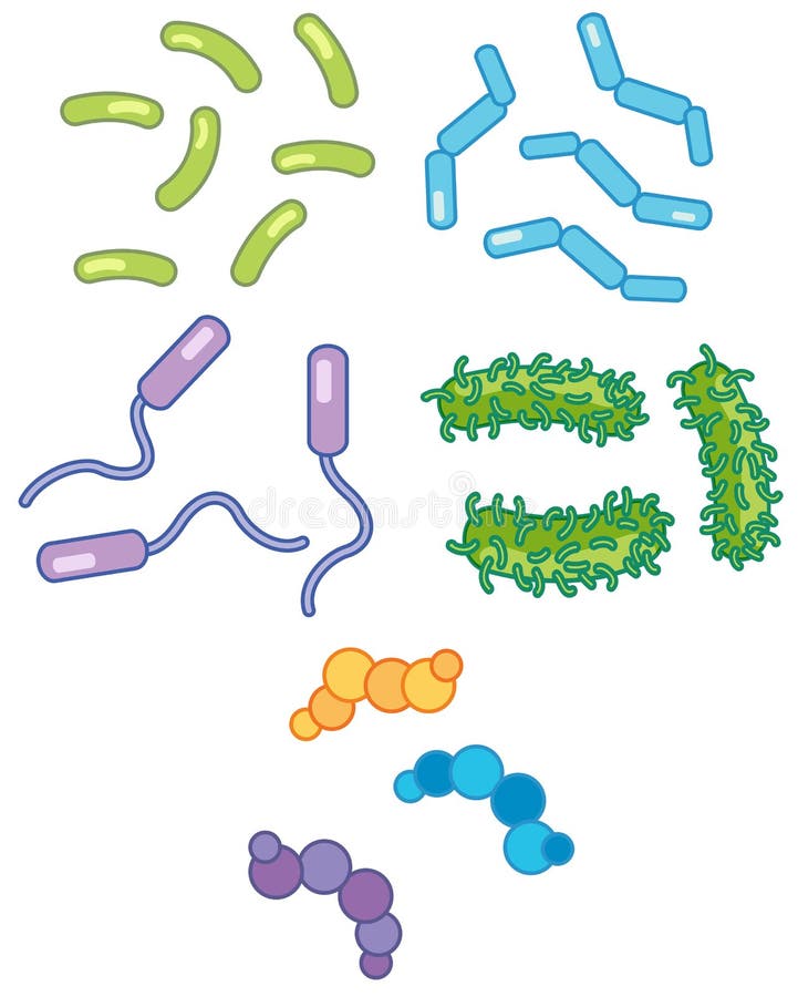 A Set of Bacteria stock vector. Illustration of medical - 121061971