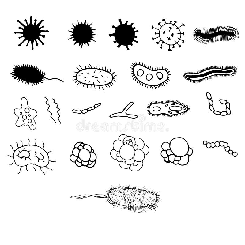 Microorganisms Stock Illustrations – 7,037 Microorganisms Stock ...