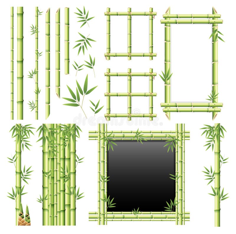 Bamboo decorative element stock vector. Illustration of bamboo - 30651272