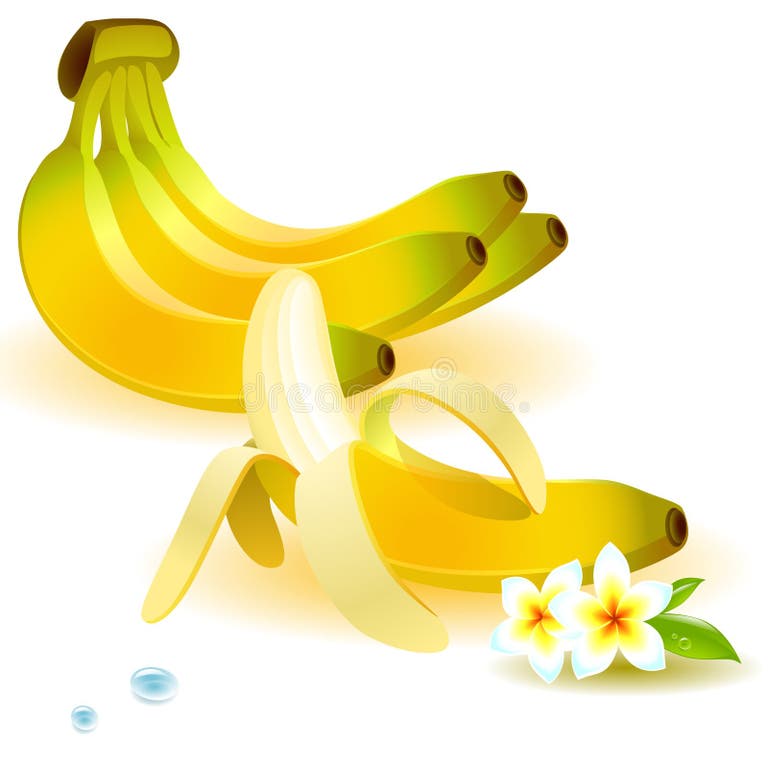 Flower Green Bananas Stock Illustrations 1660 Flower Green Bananas Stock Illustrations