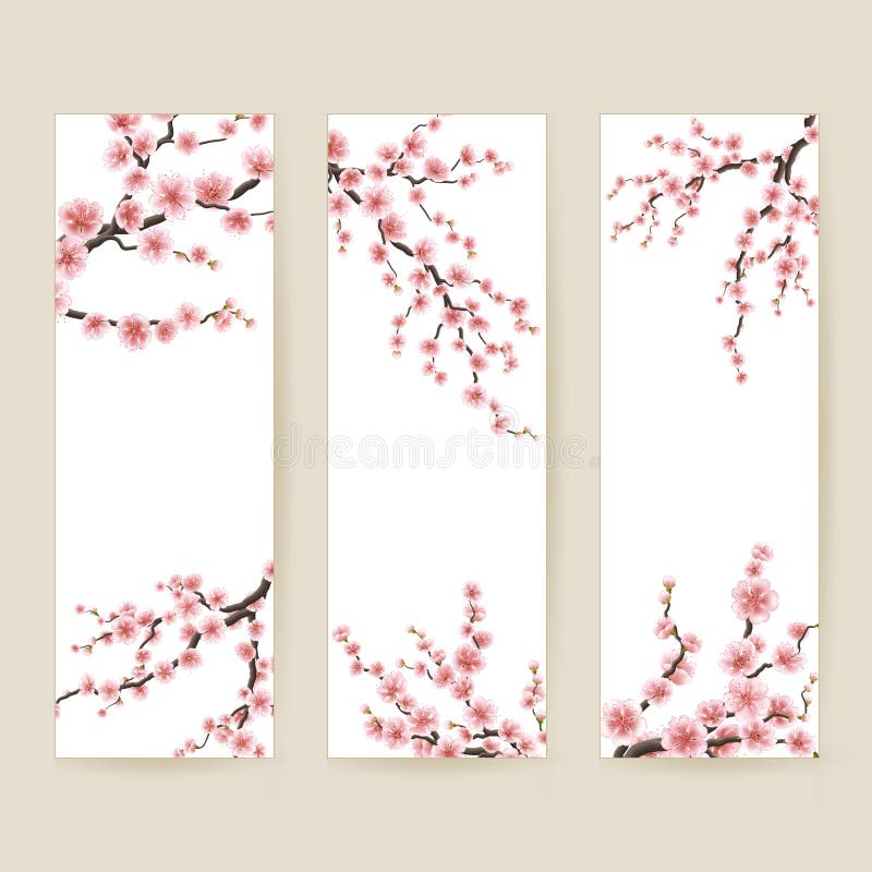 Set of Banners with Blossom Sakura Flowers. EPS 10 Stock Vector ...