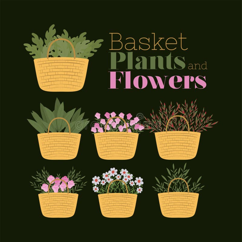 Set of Baskets, Plants and Flowers Stock Vector - Illustration of sael ...
