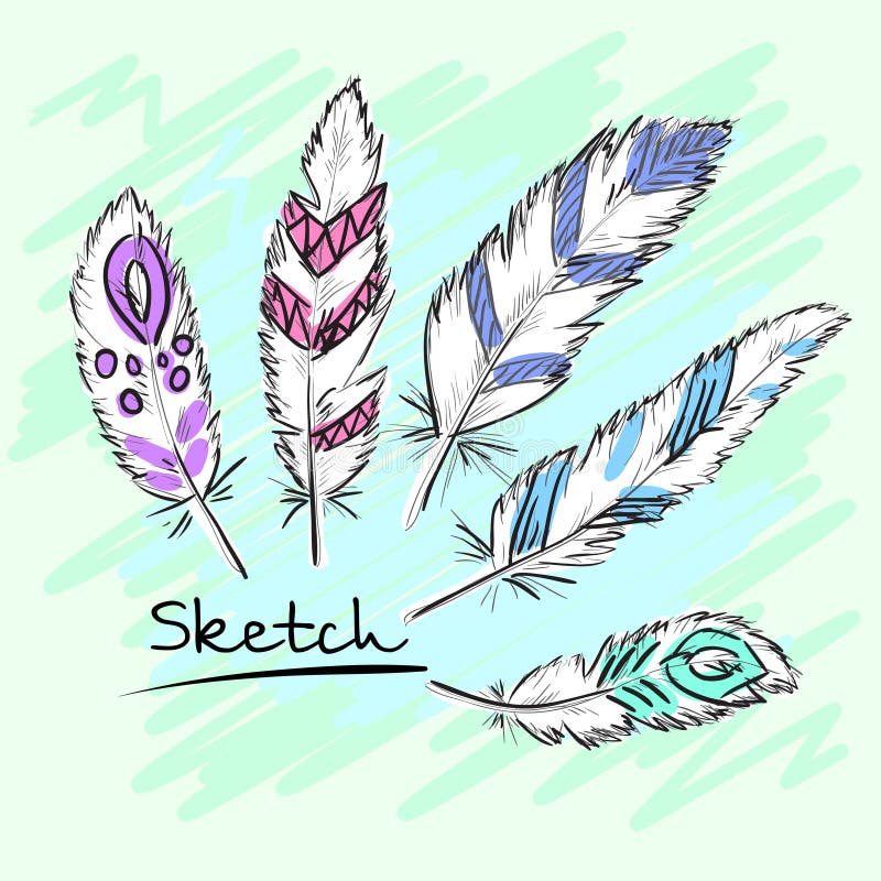 Set Of Beautiful Colored Feather. Sketch Feathers. Vector Stock ...