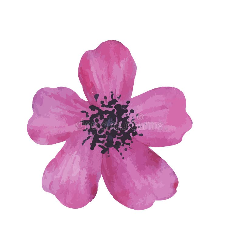 Set of Beautiful Hand Drawn Flowers in Retro Style. Stock Vector ...