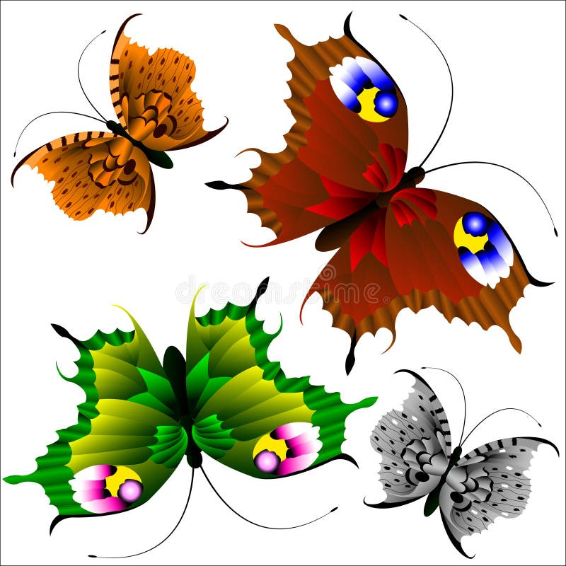 290+ Colored butterflies Free Stock Photos - StockFreeImages