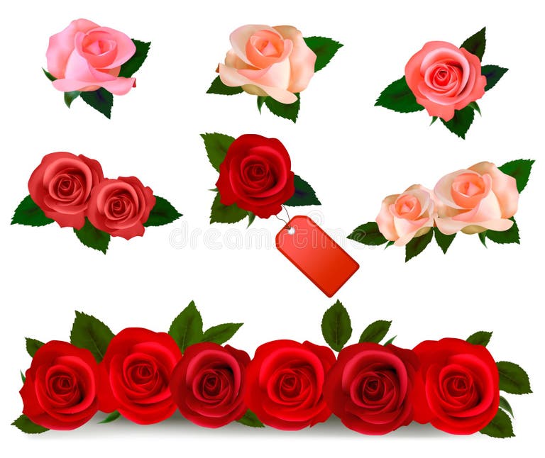 Set with a Beautiful Roses. Realistic Vector Stock Illustration ...