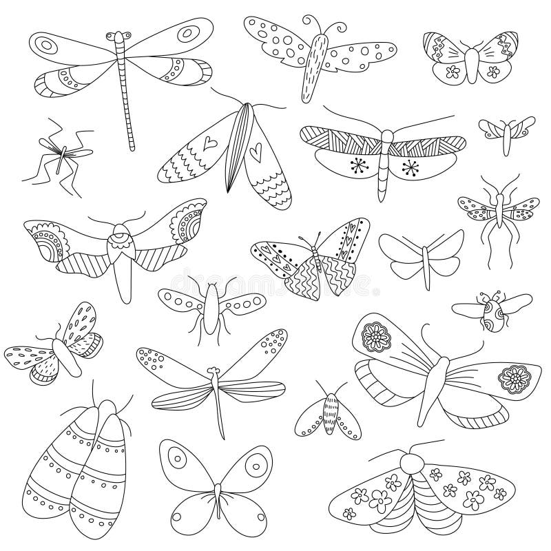 Set of 20 Beautiful Winged Insects, Decorated with Different Ornaments ...