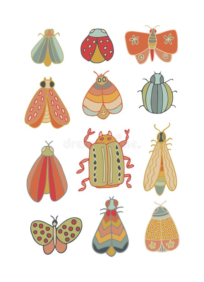 Set of Beautiful Winged Insects, Decorated with Different Ornaments ...