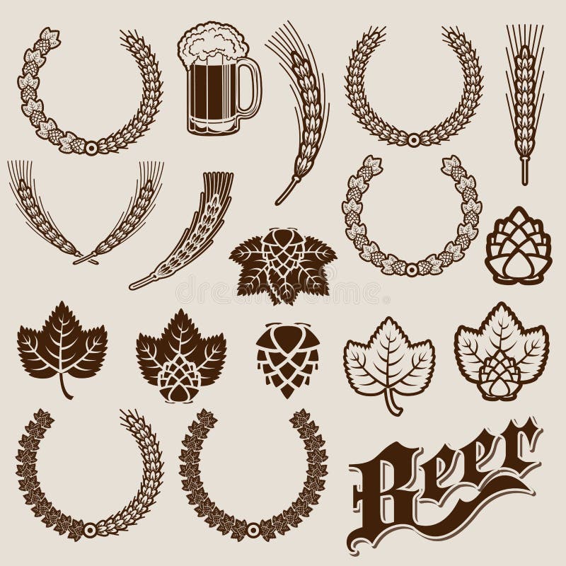 Beer Ingredients Ornamental Designs Stock Vector - Illustration of ...