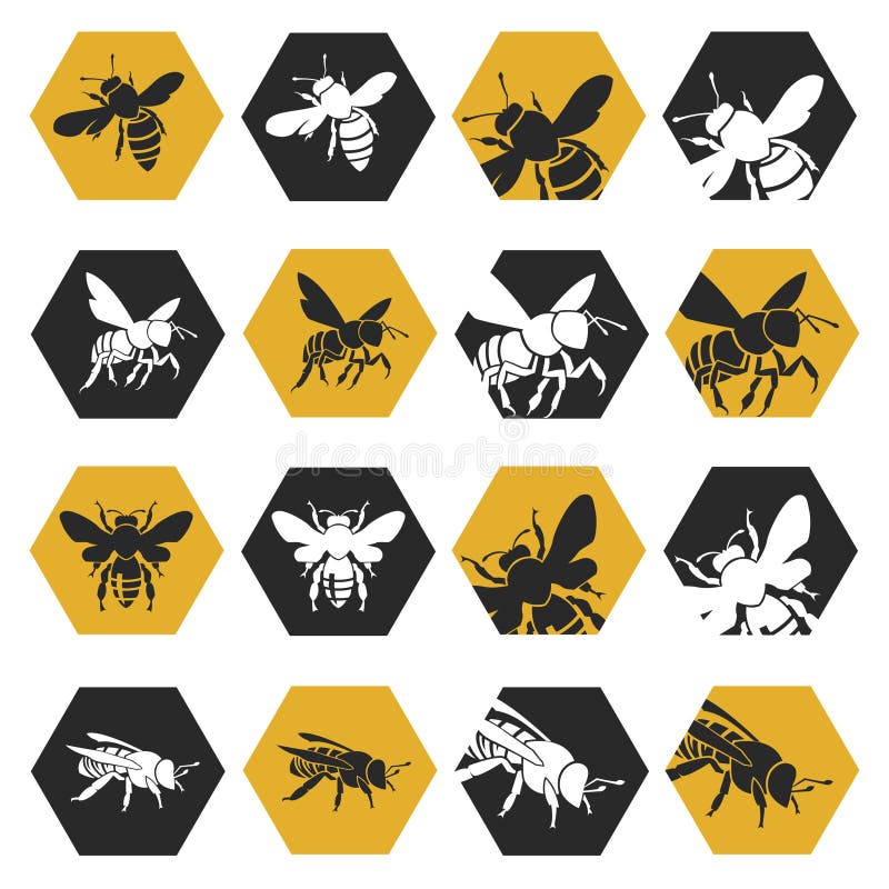 Honey Bee Vector Set on a Transparent Background. Flat 3d Vector ...