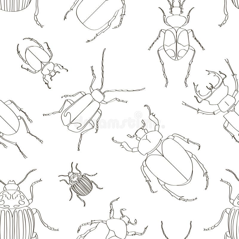 Set of Beetle Illustrations Pattern Stock Vector - Illustration of ...