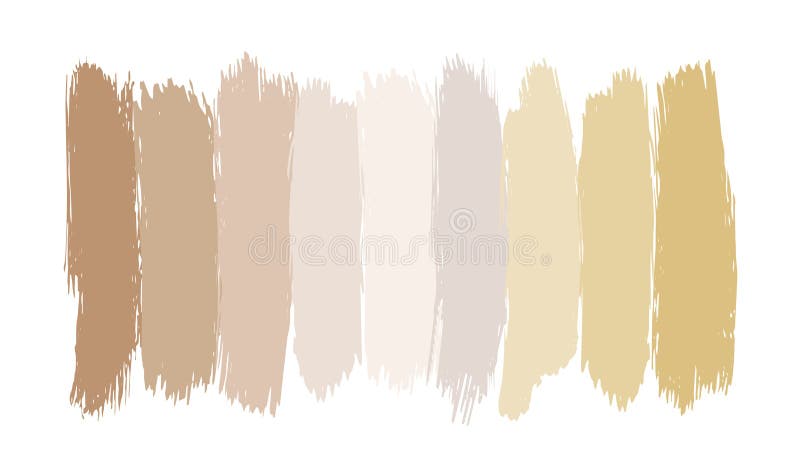 Set of Beige Brush Strokes on White Background, Vector Elements and ...
