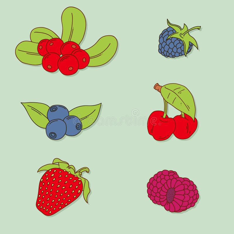 Set of berries stock vector. Illustration of clip, harvesting - 65912463