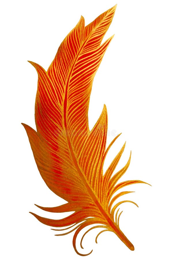 Set of Bird Feathers. Hand Drawn Illustration Converted To . Outline ...