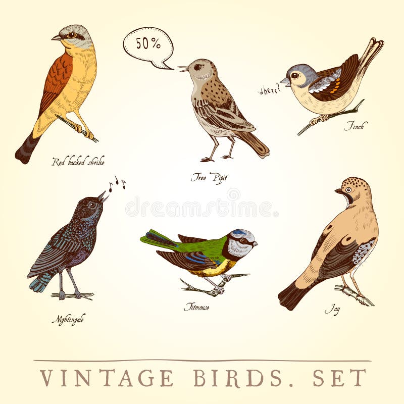 Bird set stock vector. Illustration of modern, design - 23867456