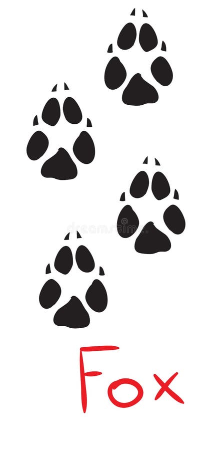 Mouse Footprint Illustration, Drawing, Engraving, Ink, Line Art, Vector ...