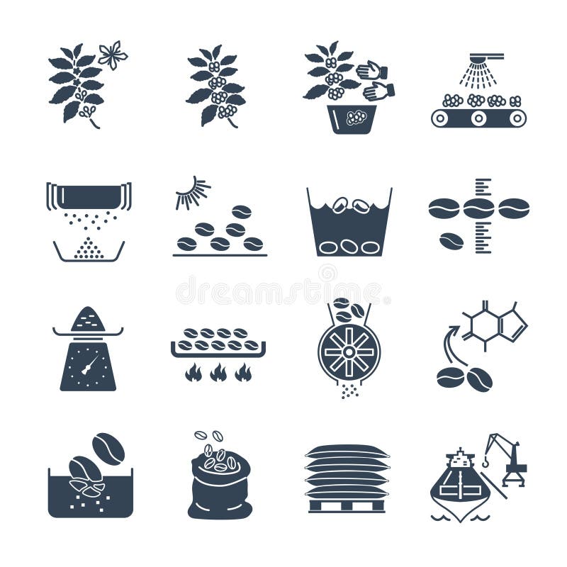 Coffee Drying Stock Illustrations – 694 Coffee Drying Stock ...