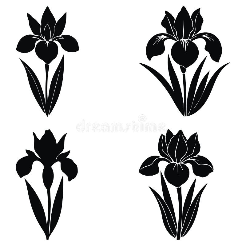 Set Black Iris Flower Vector Illustrations Art Stock Vector ...