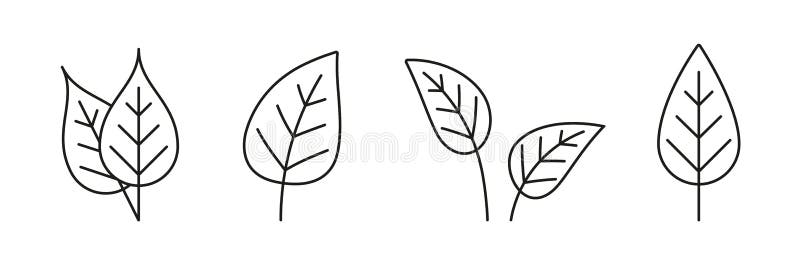 Set Black Line Leaf Icons on White Background. Vector Illustration ...