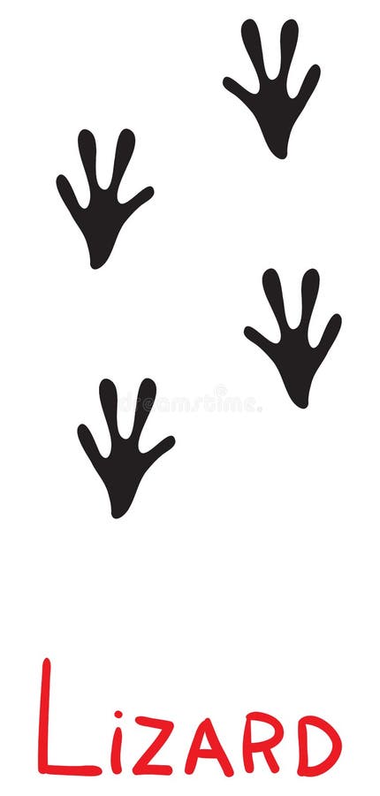Lizard Footprints Black and White Vector Stock Vector - Illustration of ...