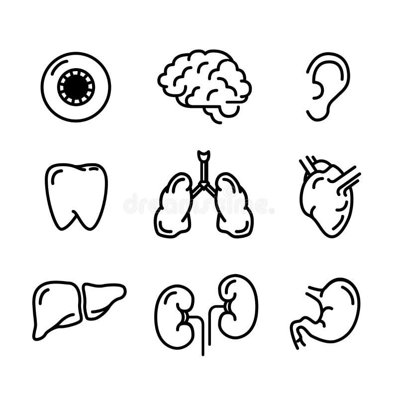 Human Body Clipart Black And White