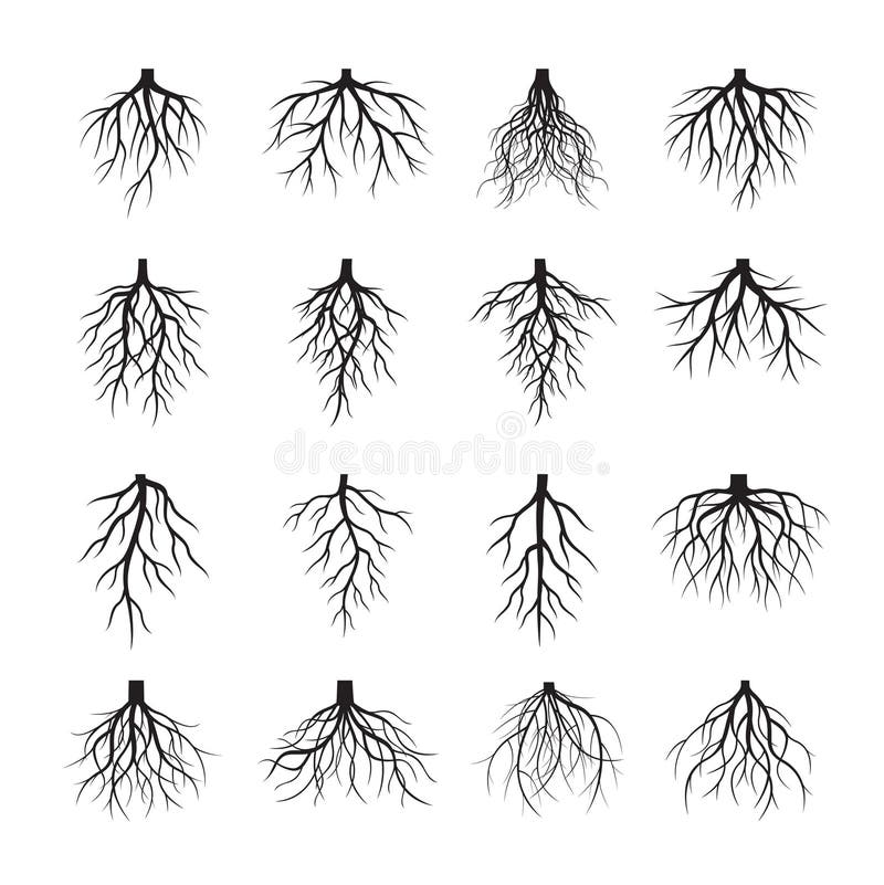 Black Roots Stock Illustrations – 8,090 Black Roots Stock Illustrations ...